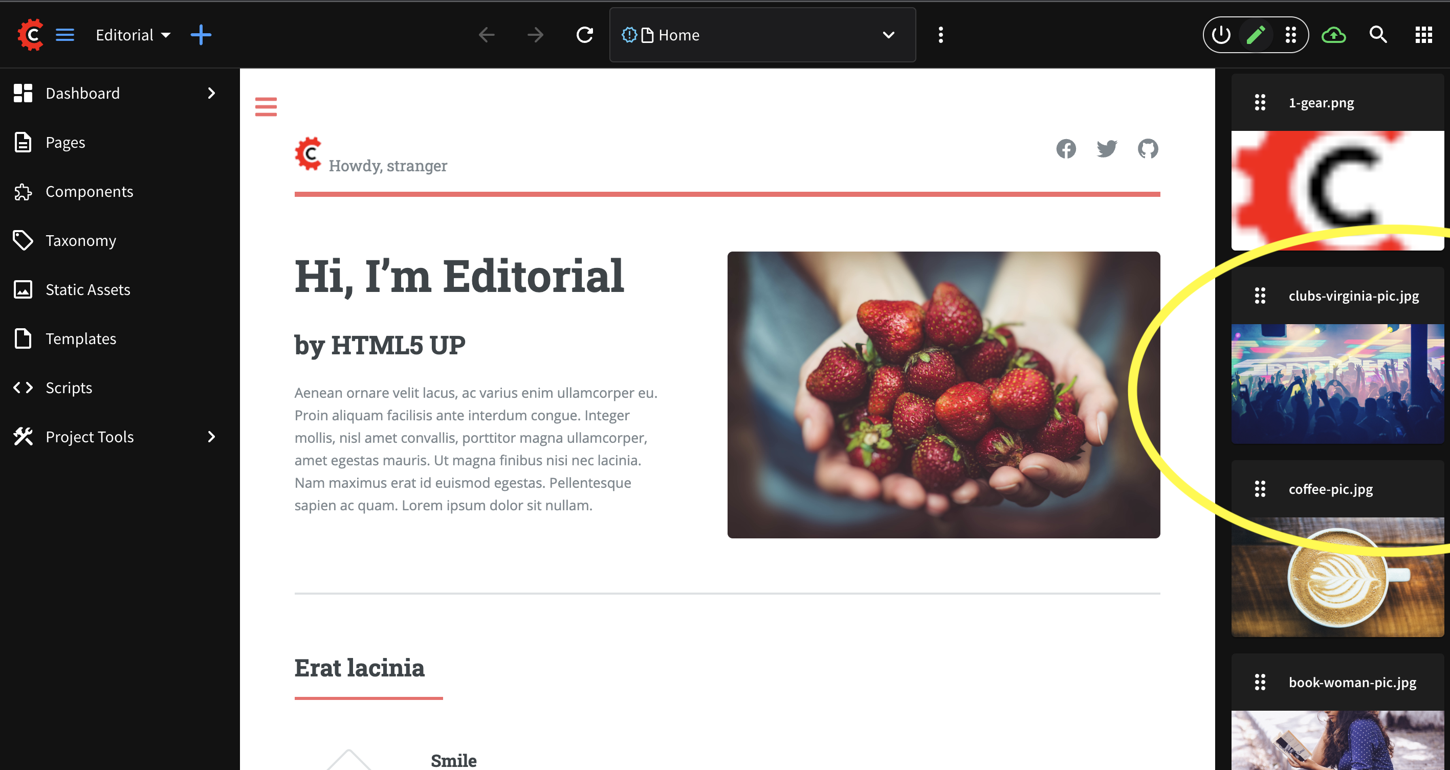 [studio-ui] Asset panel should show full path in hover or as part of card · Issue #5678 ...