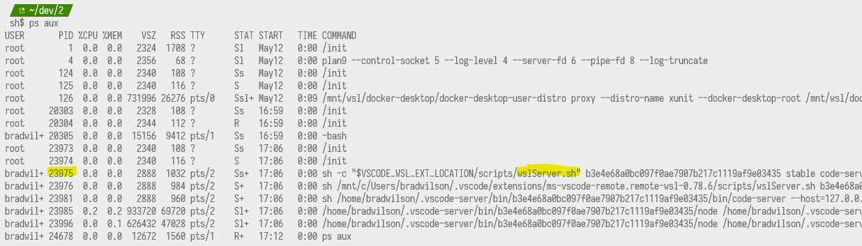 wslServer.sh stays running after VS Code is shut down · Issue #183086 · microsoft/vscode · GitHub