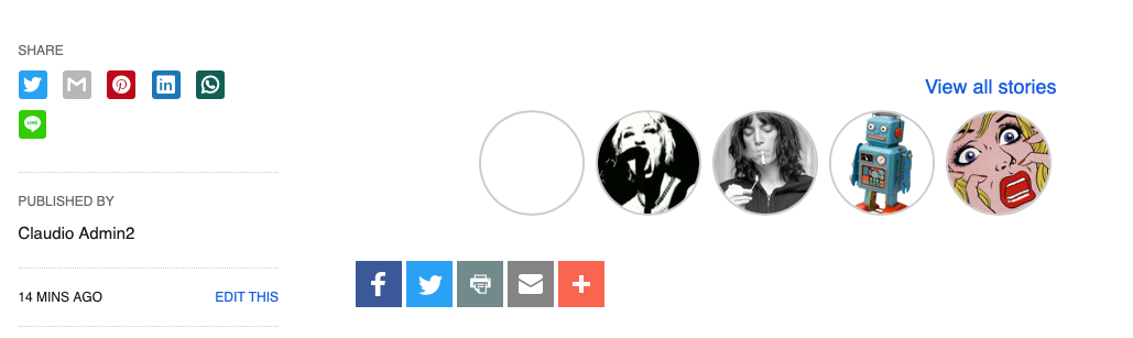Web Stories block incompatibility with AMP for WP plugin · Issue #9314 · GoogleForCreators/web ...