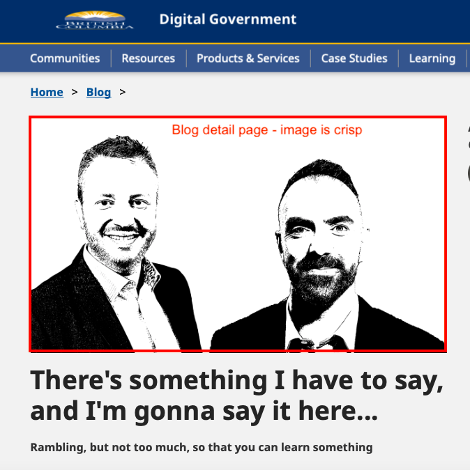 Blog card images are blurry · Issue #960 · bcgov/digital.gov.bc.ca · GitHub