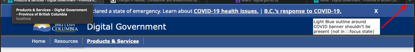 COVID banner has a light blue outline · Issue #409 · bcgov/digital.gov.bc.ca · GitHub