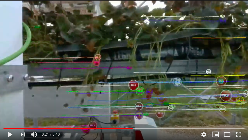 GitHub - RaymondCM/icvs_fruit_tracking