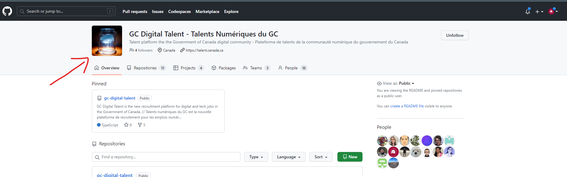Change the icon for the main Git repository · Issue #6752 · GCTC-NTGC/gc-digital-talent · GitHub