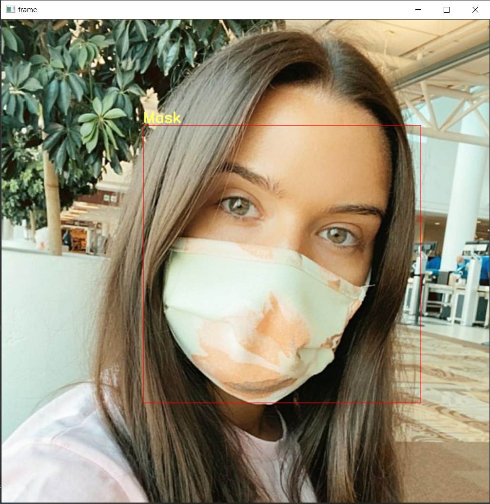 GitHub - Vasiljko/Mask-Detection