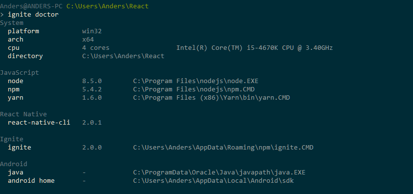 The filename, directory name, or volume label syntax is incorrect. · Issue #1229 · infinitered ...