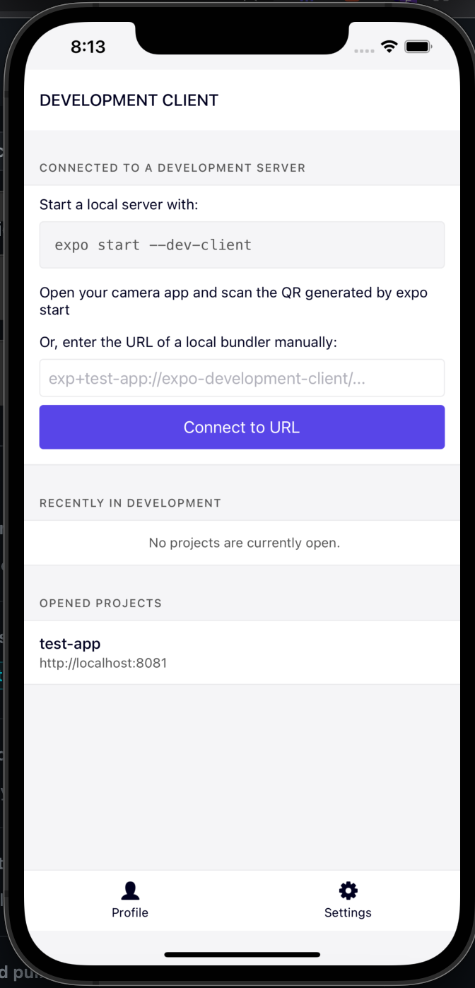 Expo Dev Client not showing in full height · Issue #15104 · expo/expo ...