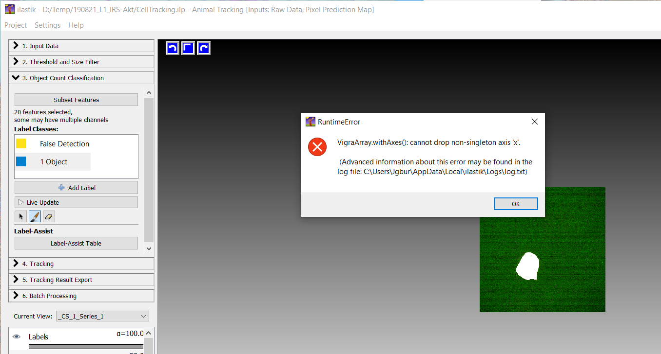 Tracking error "VigraArray.withAxes():" · Issue #2470 · ilastik/ilastik · GitHub