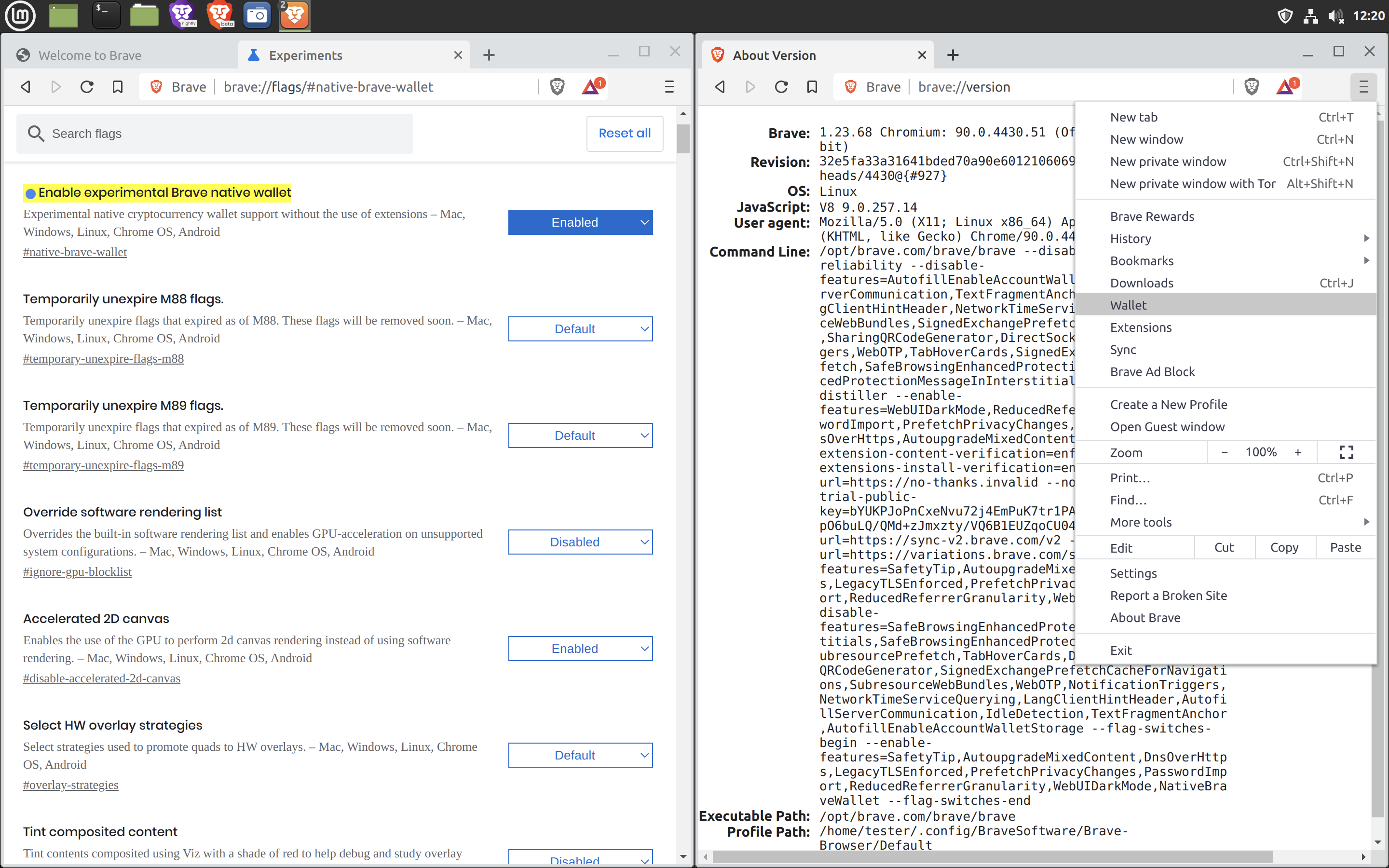New provider type and handling for experimental wallet feature flag · Issue #14690 · brave/brave ...
