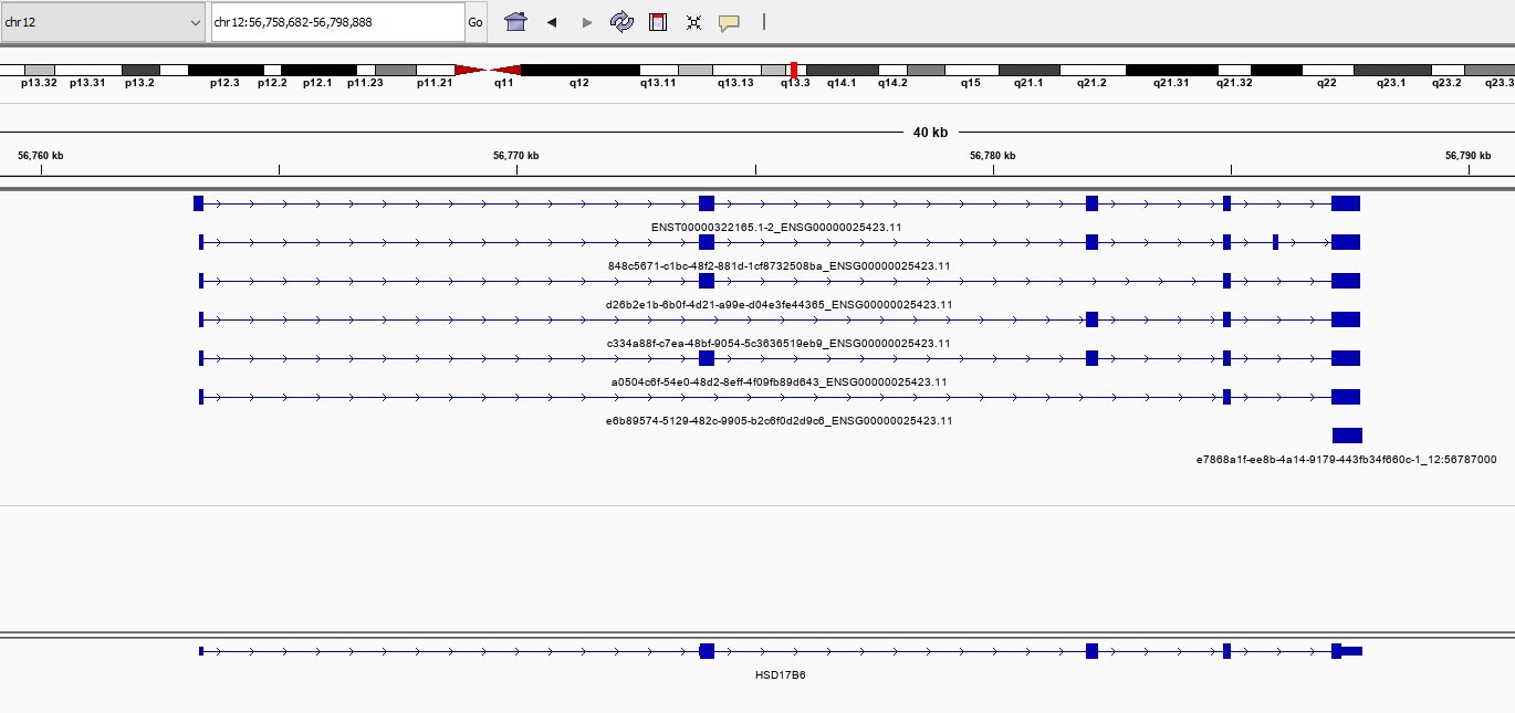 novel transcripts located in UTR and reads mapped to wrong places · Issue #104 · BrooksLabUCSC ...