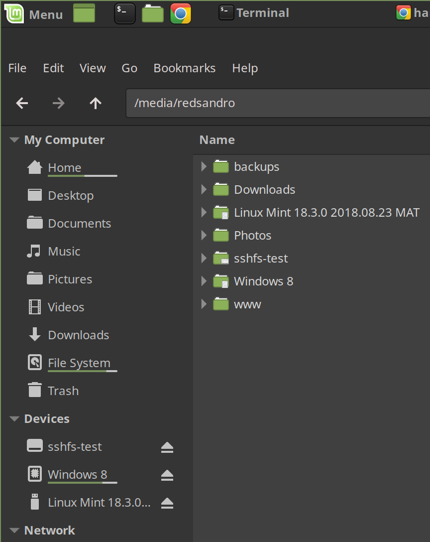 ZFS datasets do not show up under 'Devices' · Issue #1951 · linuxmint/nemo · GitHub