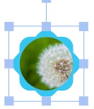 Feature request. Native image cropping functionality. · Issue #4606 ...