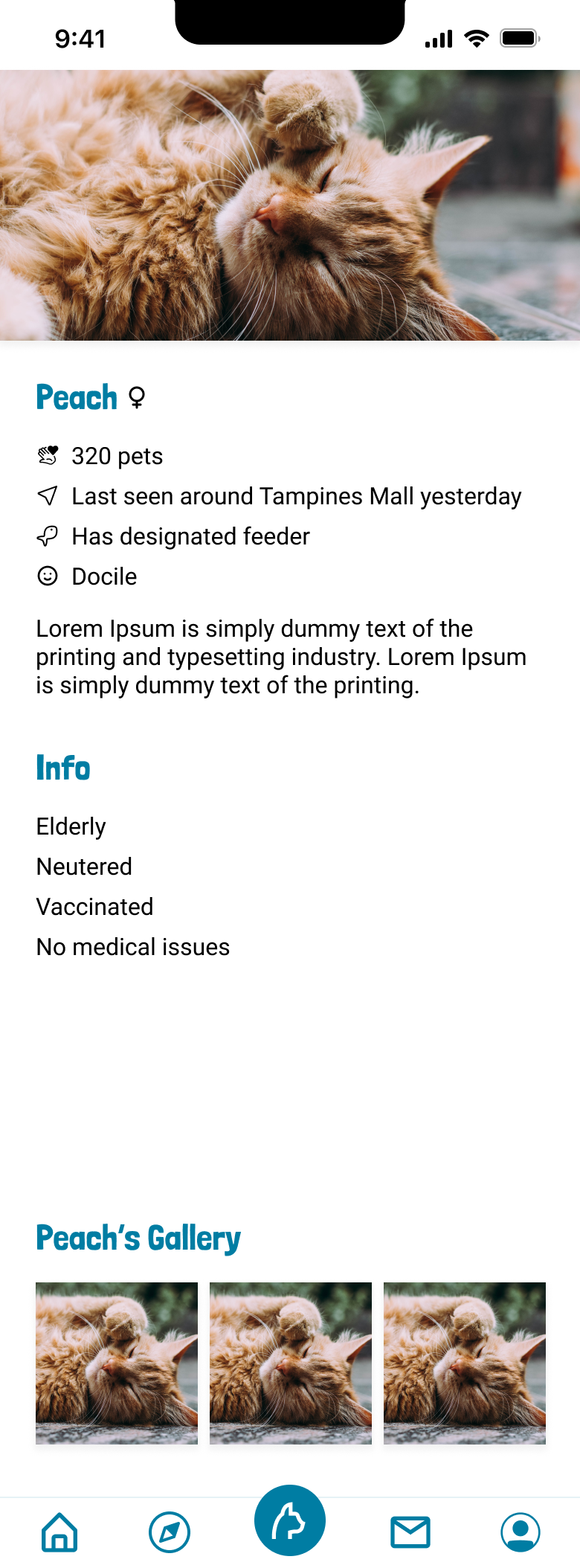 GitHub - rickithadi/catalogue: catalogue community cats. Built with ...