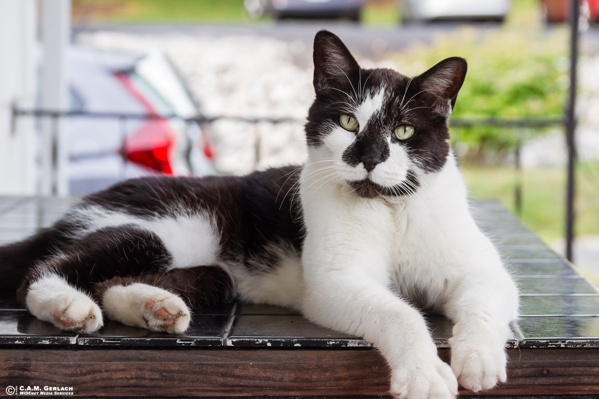 Spyder 3.2.6 [crashes/won't launch] after conda install into a fresh ...