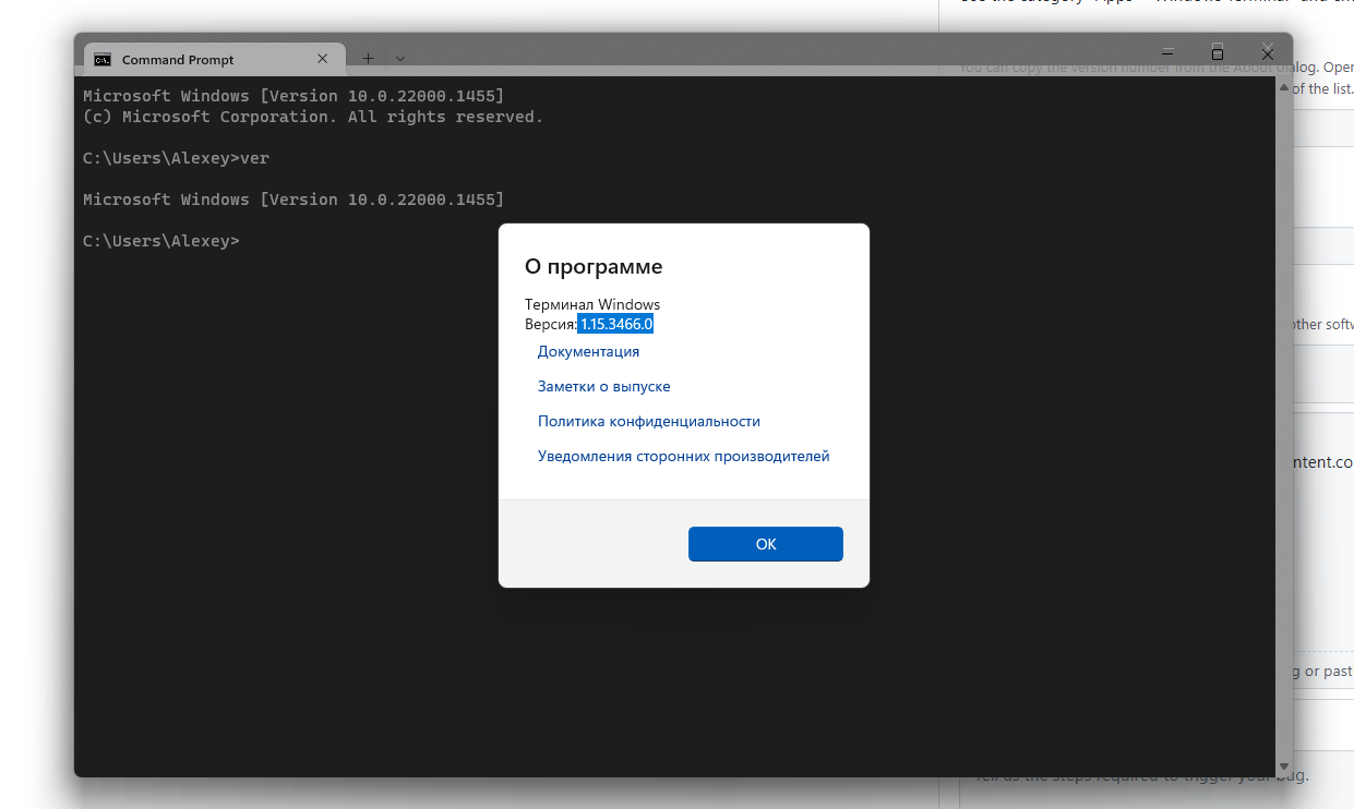 The Window Title Is Not Displayed Correctly · Issue 14766 · Microsoftterminal · Github