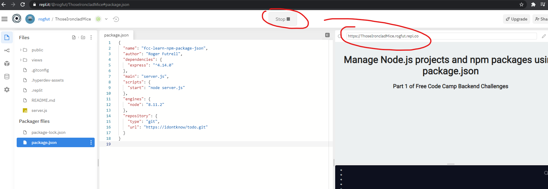 CORS blocking me from submitting package.json solution? · Issue #39779 · freeCodeCamp ...