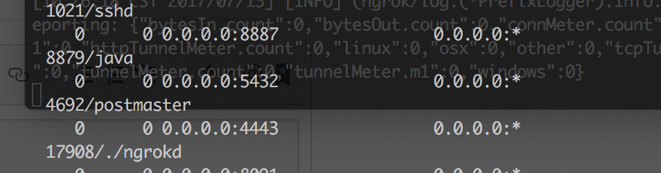 Client Status Reconnecting · Issue 405 · Inconshreveablengrok · Github 1506