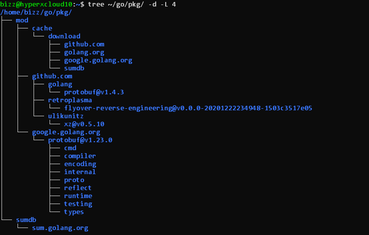 "x509: certificate signed by unknown authority" on WSL and missing src folder with Go 1.16 ...