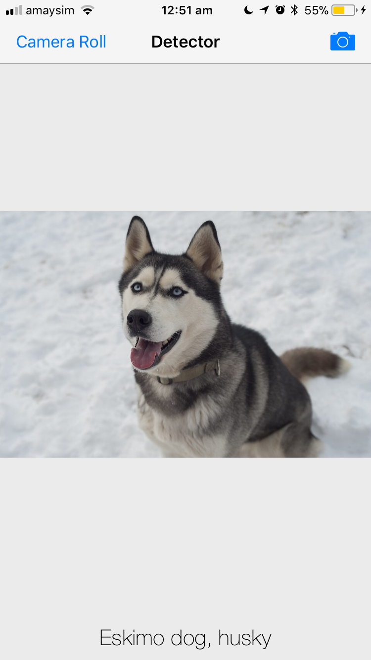 GitHub - itsaandy/Detector: 🔍 iOS app created using CoreML that detects objects and describes ...