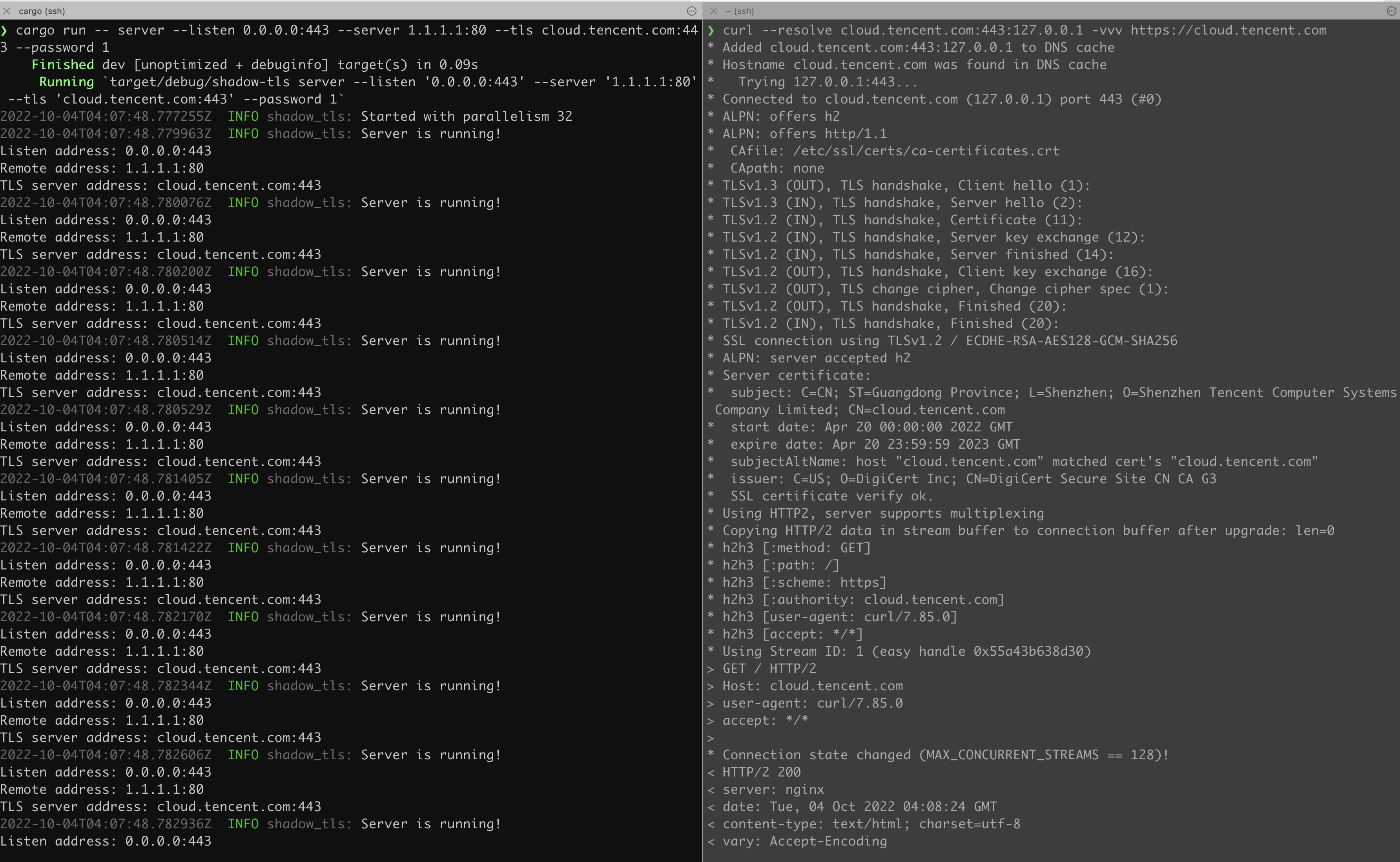 请问，如果浏览器直接访问会发生什么？ · Issue #13 · ihciah/shadow-tls · GitHub