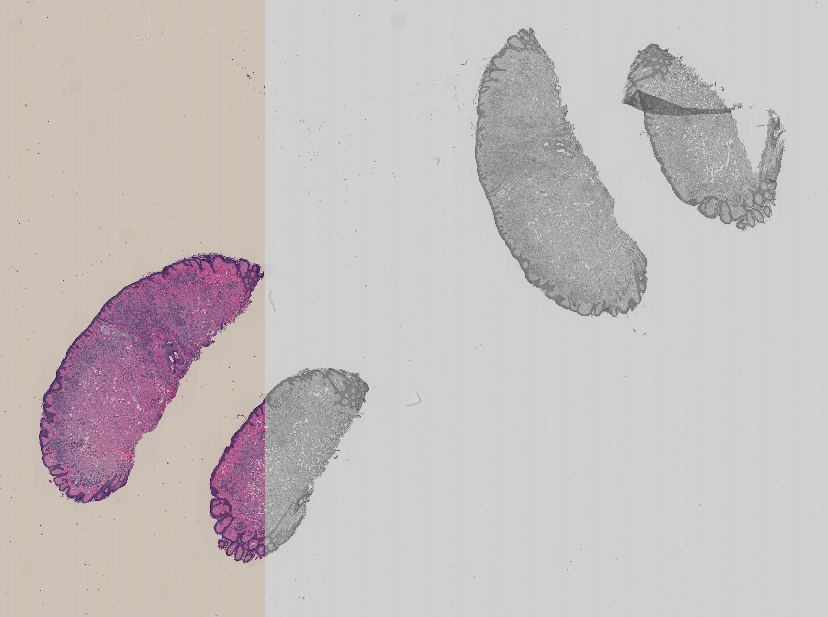 Inconsistent Pixel Value When Fetching With Non Zero Offset · Issue 417 · Openslideopenslide