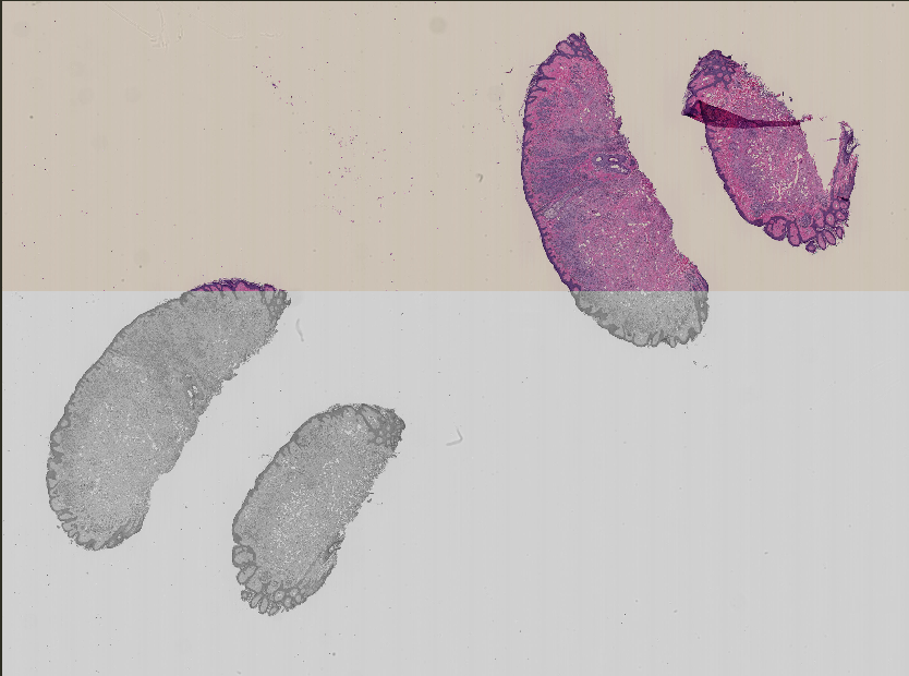 Inconsistent Pixel Value When Fetching With Non Zero Offset · Issue 417 · Openslideopenslide