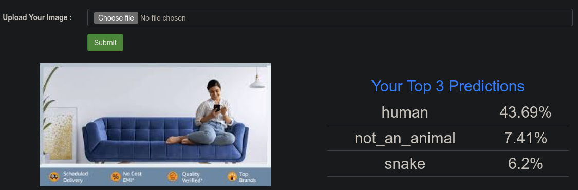 GitHub - ra9hur/Animal-Image-Classification-WebApp: A simple website where users can post an ...