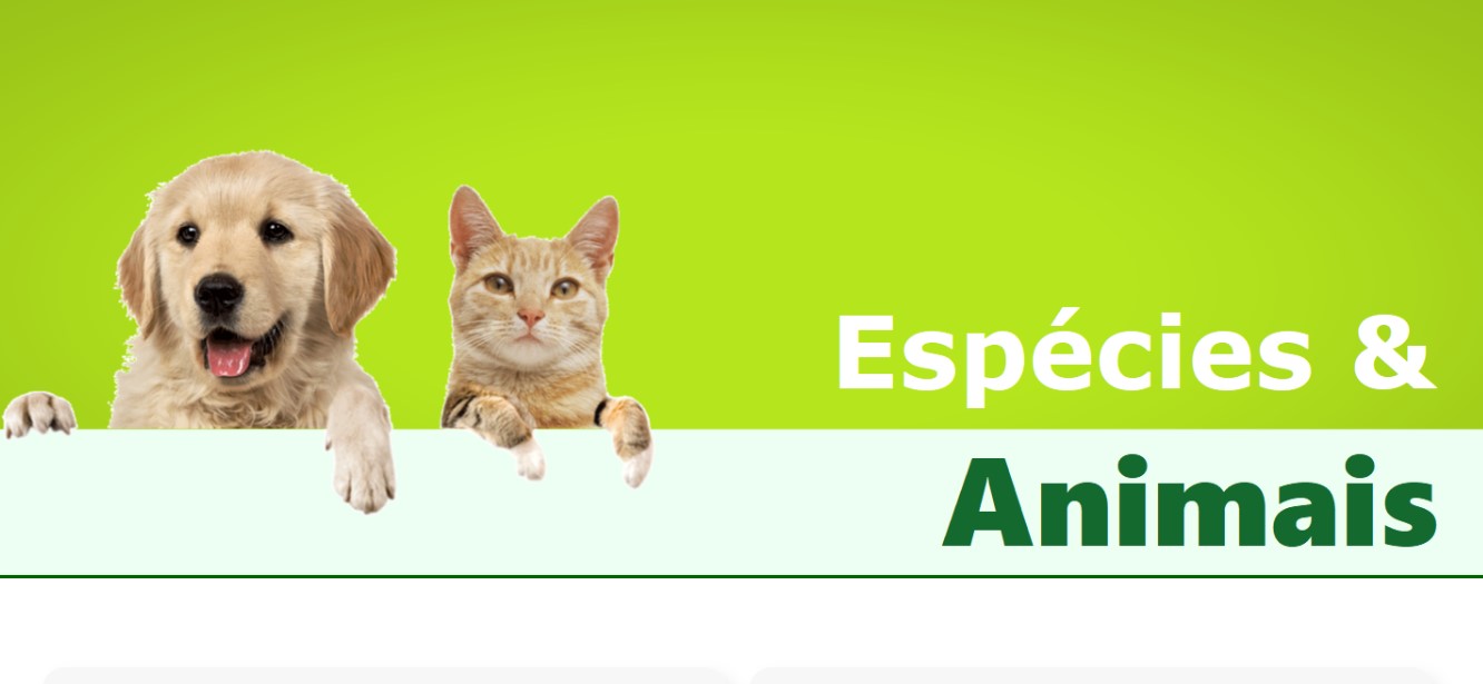 GitHub - cristijung/animals-species-basic-react: primeiro projeto para ...