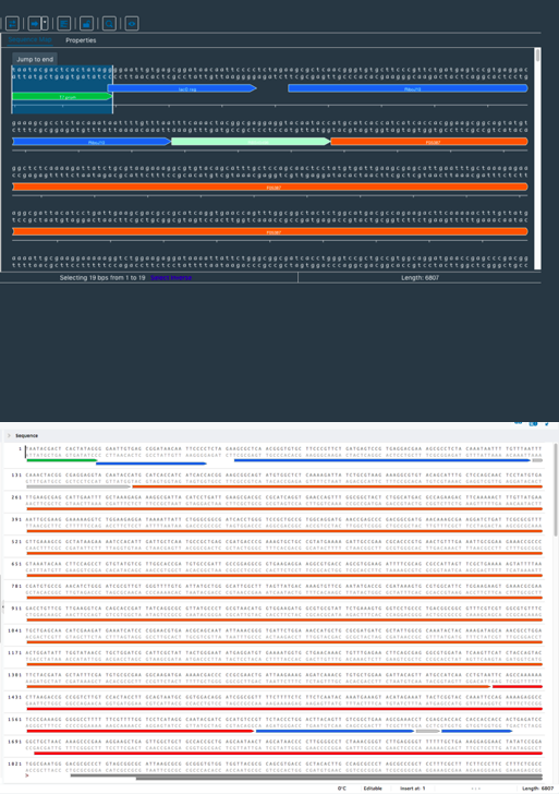 VE > Sequence panel > GenBank features are too fat > eschew labels ...