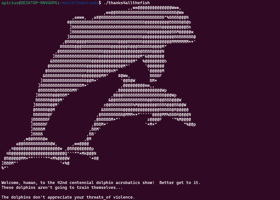 Space-Heroes CTF Writeups · GitHub