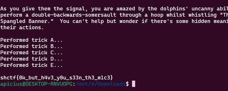 Space-Heroes CTF Writeups · GitHub