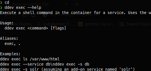 Improve ddev-exec help/examples output · Issue #4634 · ddev/ddev · GitHub
