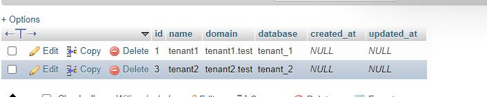 Getting unauthorized when any tenant deleted · Issue #281 · spatie/laravel-multitenancy · GitHub