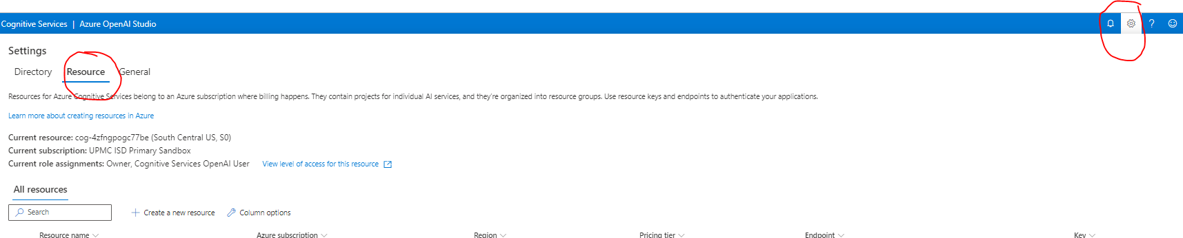 Control plane for existing Cognitive Services OpenAI deployments is inactive. Unable to delete ...