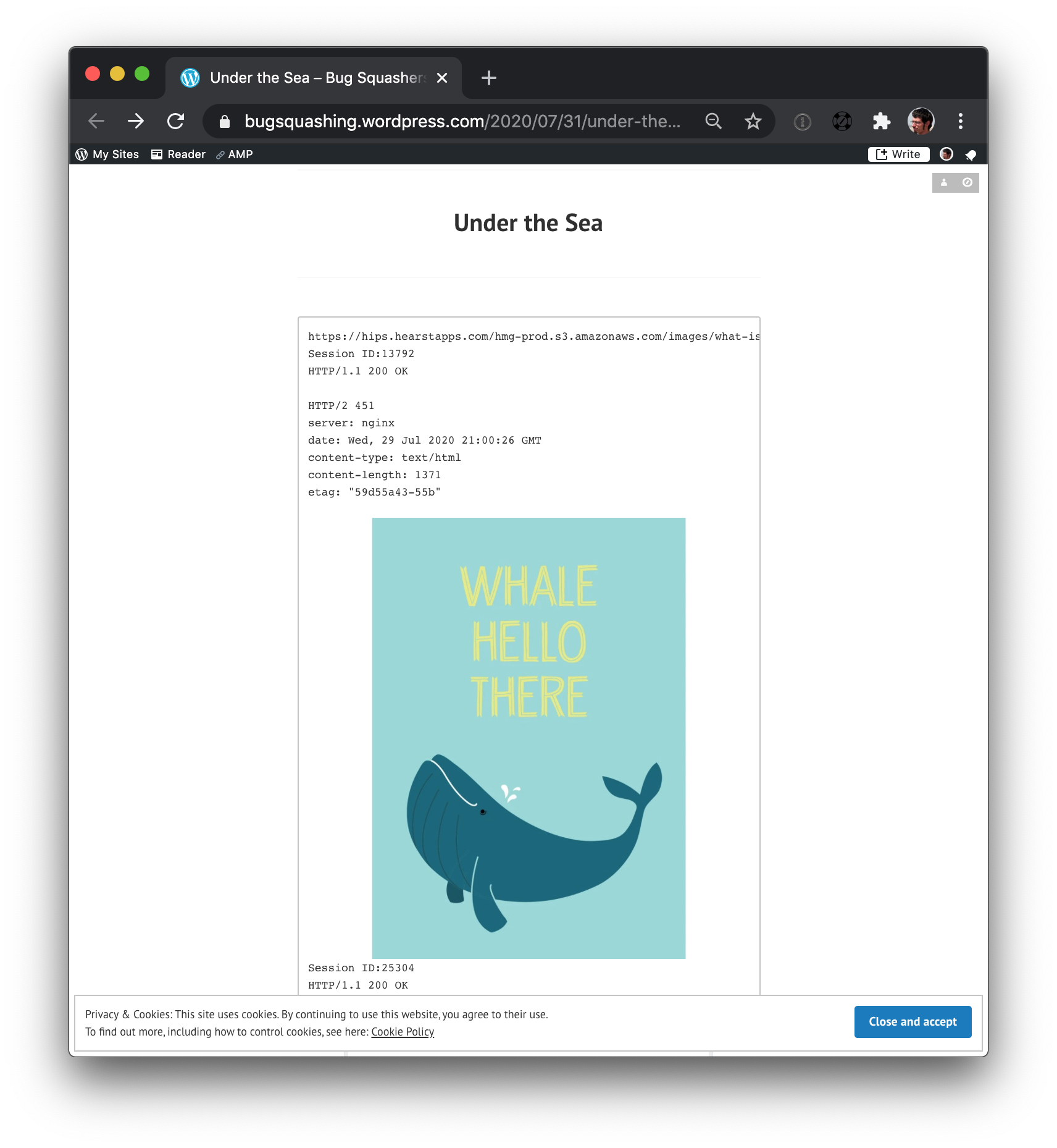 Using code Blocks Expand Media Issue 24329 WordPress gutenberg 