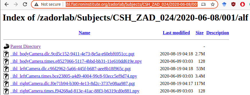 _ibl_rightCamera.times.npy is empty · Issue #91 · int-brain-lab/iblenv · GitHub