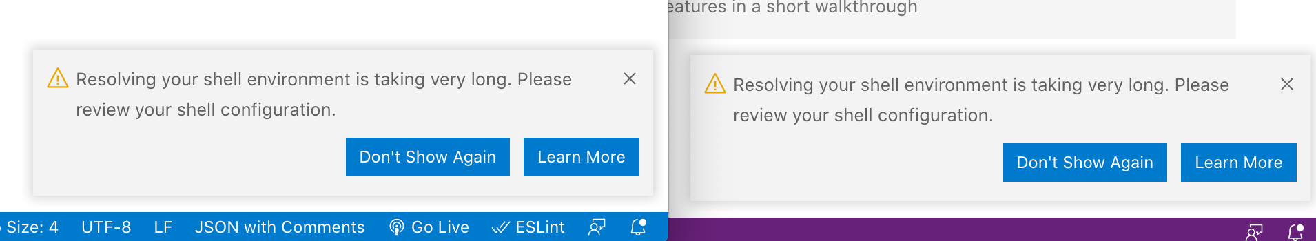 'Resolving your shell environement is taking very long' shown in every ...