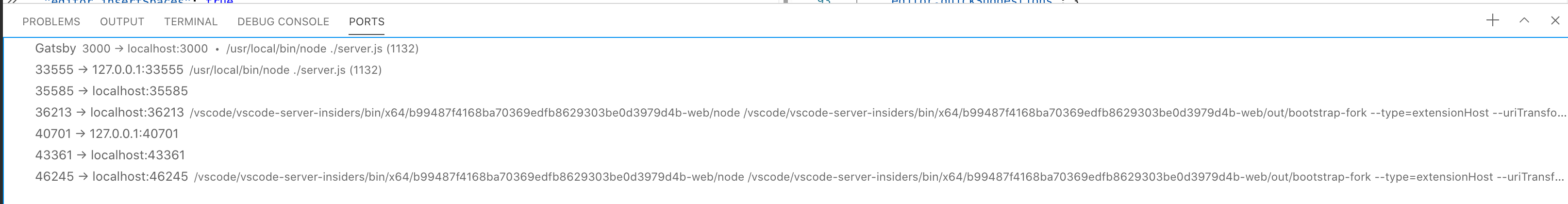Forwarded port details - truncate long arguments · Issue #115597 · microsoft/vscode · GitHub