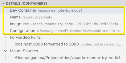 Remote Explorer - Container contribution polish · Issue #1382 · microsoft/vscode-remote-release ...