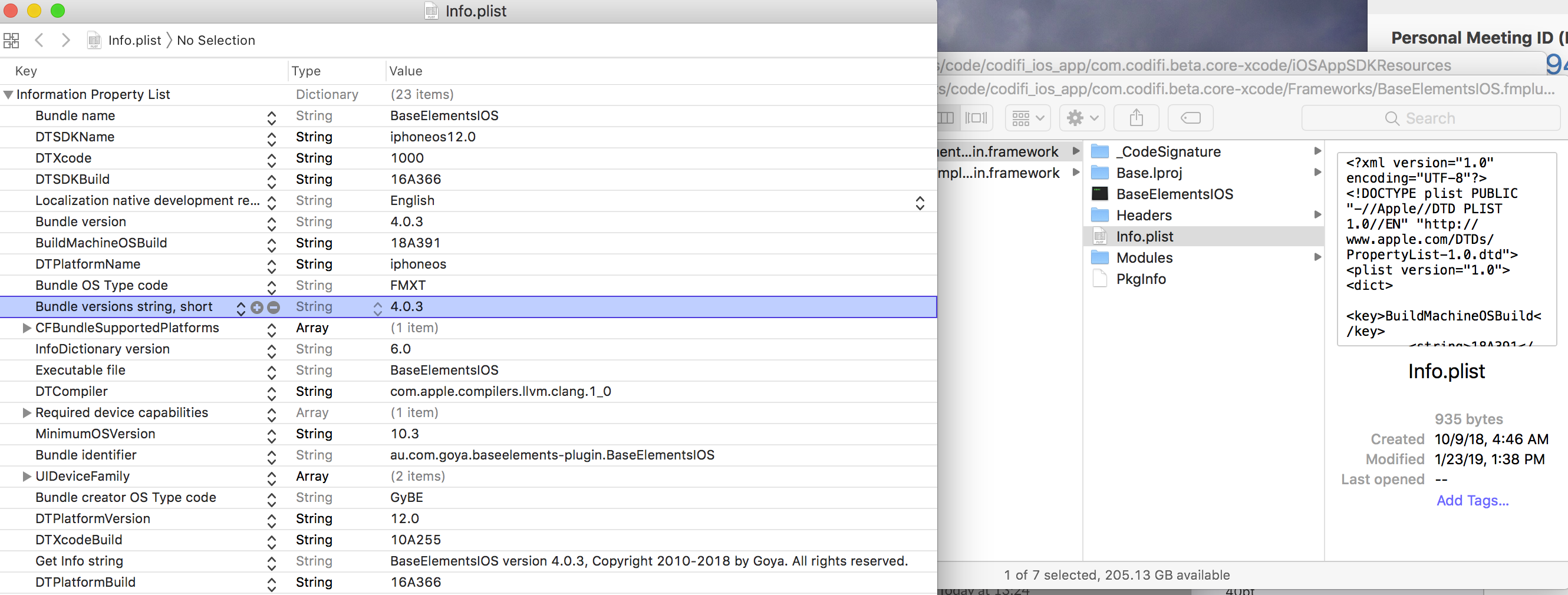 bad `CFBundleShortVersionString` causes XCode build failure for iOS SDK · Issue #168 ...