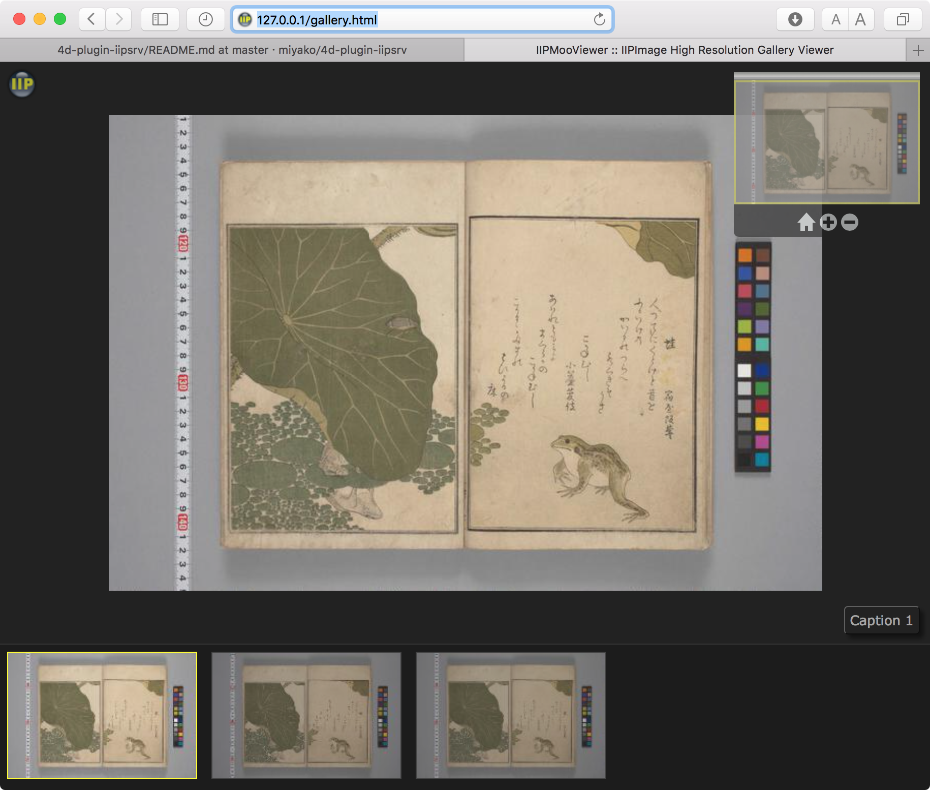 GitHub - miyako/4d-plugin-iipsrv: IIPImage server for 4D