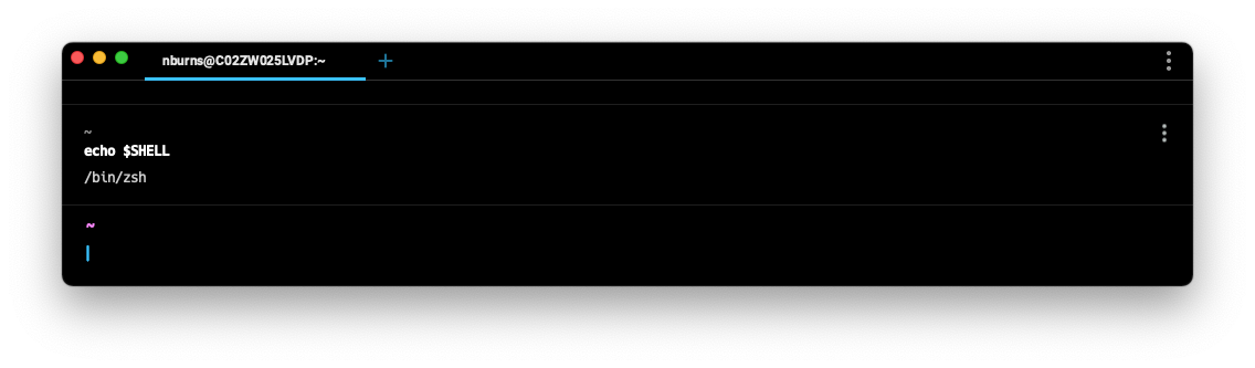 Not respecting my login shell · Issue #486 · warpdotdev/Warp · GitHub