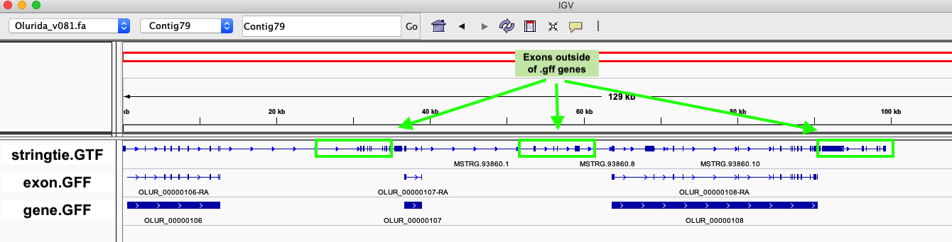 O. lurida GTF annotation file for STAR aligner · Issue #926 · RobertsLab/resources · GitHub