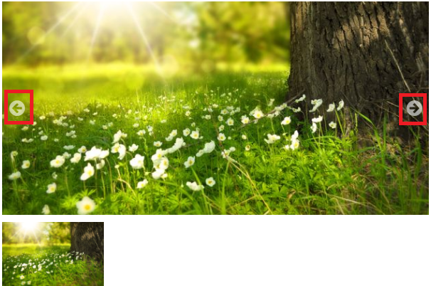 How to hide arrow icon when there is one image · Issue #145 · lukasz ...