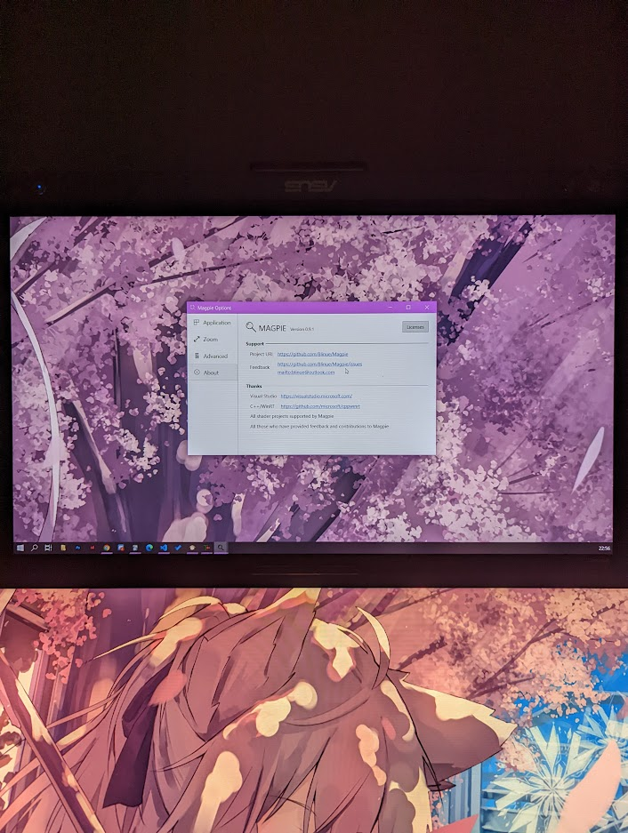 Magpie does not work properly on monitors with different orientations · Issue #436 · Blinue ...