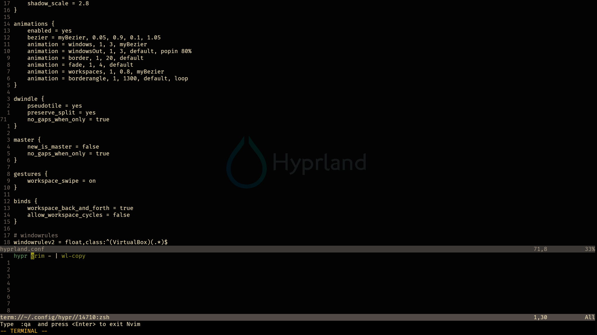 Wallpaper changes on fullscreen with transparency ( wl-roots Hyprland ) · Issue #1918 · neovide ...
