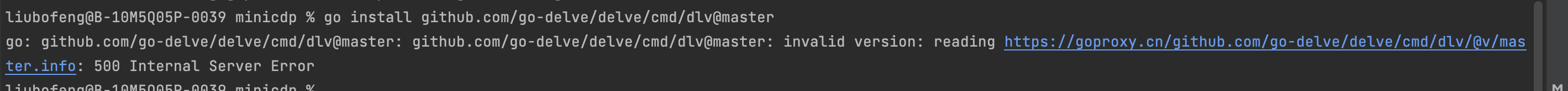 问题：拉取镜像源出现500错误; · Issue #158 · goproxy/goproxy.cn · GitHub