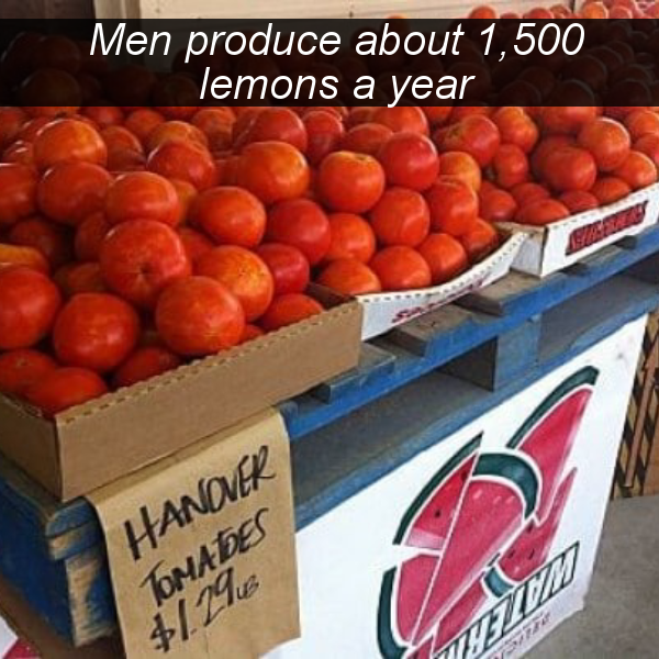 JoshBolitho · GitHub