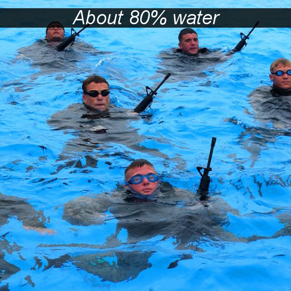 JoshBolitho · GitHub