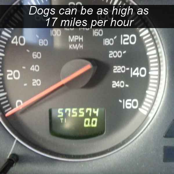 JoshBolitho · GitHub