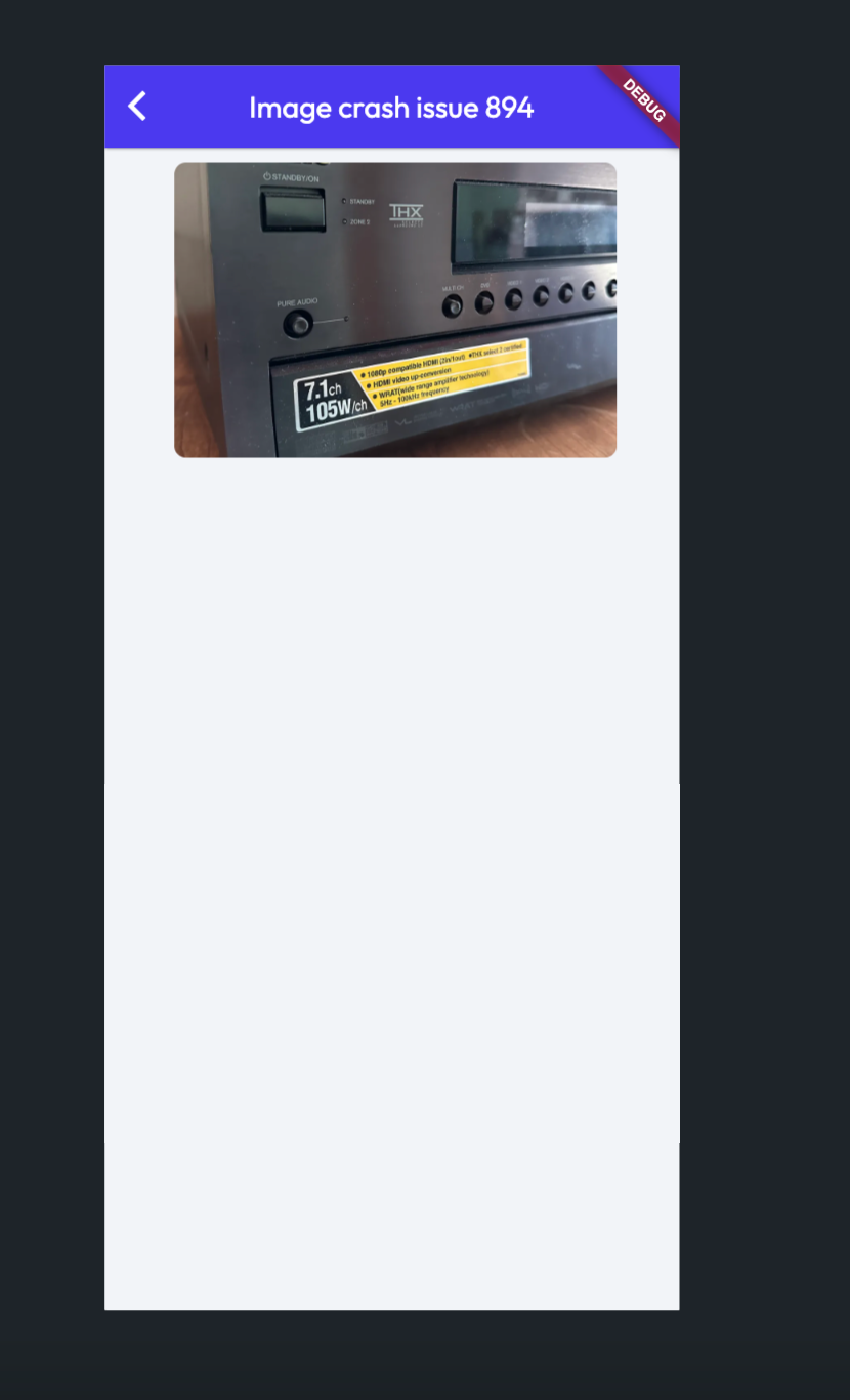 Image widget is crashing when using network paths from https://imagekit.io · Issue #894 ...